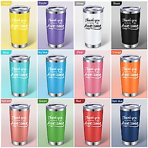 Sieral Thank You for Being Awesome Tumbler,Thank You Gifts for Women Men 20oz Insulated Stainless Steel Travel Tumbler with Lid and Straw Appreciation Gift with Keychain (Multicolor, 24 Pieces)