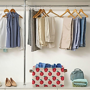 YEGAME Storage Basket Summer Apples Rectangular Collapsible Canvas Shelves Storage Bins with Leather Handles for Shelves Home Closet Bedroom Living Room, 2Pack