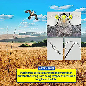 eyijklzo Bird Scaring Flying Kite Deterrent Crops Defenders Farm Protector Bird Fake Hawk Flying Eagle Kite Anti Birds Repellent Control Kit to Scare Birds Away with 4m Telescopic Pole