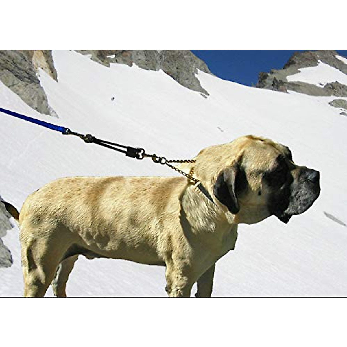 JERK-EASE BUNGEE DOG LEASH EXTENSION – Patented Shock Absorber Attachment Protects You and Your Dogs – Works with ANY Leash & Collar or Harness – a MUST for Retractable Leashes – PICK SIZE/COLOR BELOW