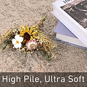 CRUGZ Pure Beige Area Rug 5x7 Feet, Ultra Soft Tan Rugs for Living Room Decor, Shaggy Fluffy Camel Taupe Rug for Bedroom, Nursery Home Decor 60x84 Inch Beige Alfombras para Salas (5'x7' Beige/Tan)