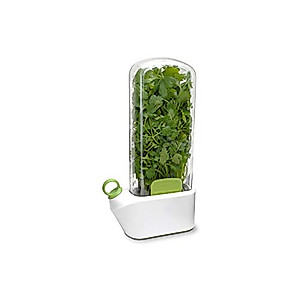 Prepara Eco Herb Savor Pod, Green 6.2 x 2.9 x 10.7 inches