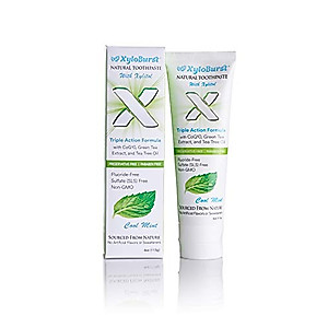 Xyloburst Natural Fluoride-Free Xylitol Premium Toothpaste with Xylitol and CoQ10 Cool Mint - SLS-Free, Paraben Free, Cruelty Free, 4 Ounce Tube Made in The USA (3 Tubes)