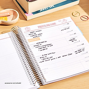 Erin Condren 7x9 Coiled Academic Planner (July 2024 - June 2025) - Watercolor Leia Cover, Star Wars Theme, Platinum Coil