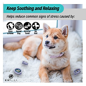 KN FLAX Aegis Calming Clip for Dogs, Anxiety Relief Pheromone Diffuser [Made in Korea], Lasts 60 Days, Reducing Stress During Loud Noises and Separation for All Small, Medium and Large Dog (with U)