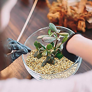 5.7 lbCoarse Sand Stone - Silica Sand for plants, Soil Cover Succulents and Cactus Bonsai DIY Horticultural sand, Decorative Sand for Vases Fillers,Terrarium, Fairy Garden,Natural Sand Top Dressing