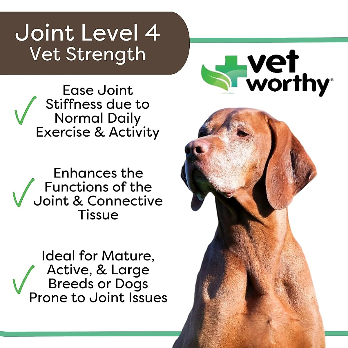 Vet Worthy Joint Support Level 4 - Chewable Tablet| Supports Bone Health and Healthy Joints - Dog Supplement with Glucosamine and Hyaluronic Acid | Vet Strength Joint Care | Liver Flavor, 60-Count