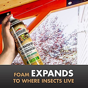 Spectracide Carpenter Bee And Ground-Nesting Yellowjacket Killer Foaming Aerosol 16 Ounce (Pack of 12), Expands To Where Insects Live