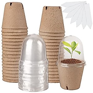 winemana 36 Set Plant Nursery Pots with Humidity Dome, Seed Starter Biodegradable Peat Pots, Seedlings Planting Pots with Labels for Indoor Outdoor Garden