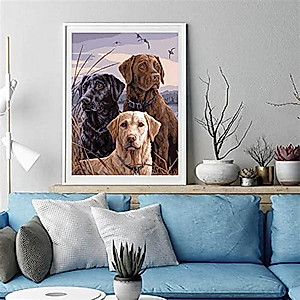 JFYHAB 5D Diamond Painting Kit for Adults Beginner, Dogs Full Drill Diamond Art Rhinestone Painting with Diamonds Pictures Arts and Crafts for Home Wall Decor 12 x 16 inch