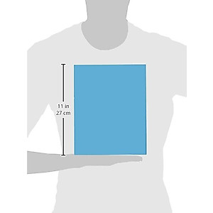 Crossbow Education: Monitor Overlay 19inch - Sky