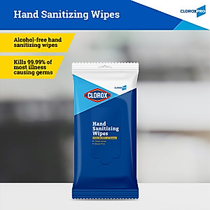 Clorox Pro Hand Wipes in Resealable Pouch, 20 Ct | Clorox Alcohol Free Wipes with BZK | Clorox Hand Wipes, Travel Hand Wipes, Alcohol Free Hand Wipes, Wipes for Hands
