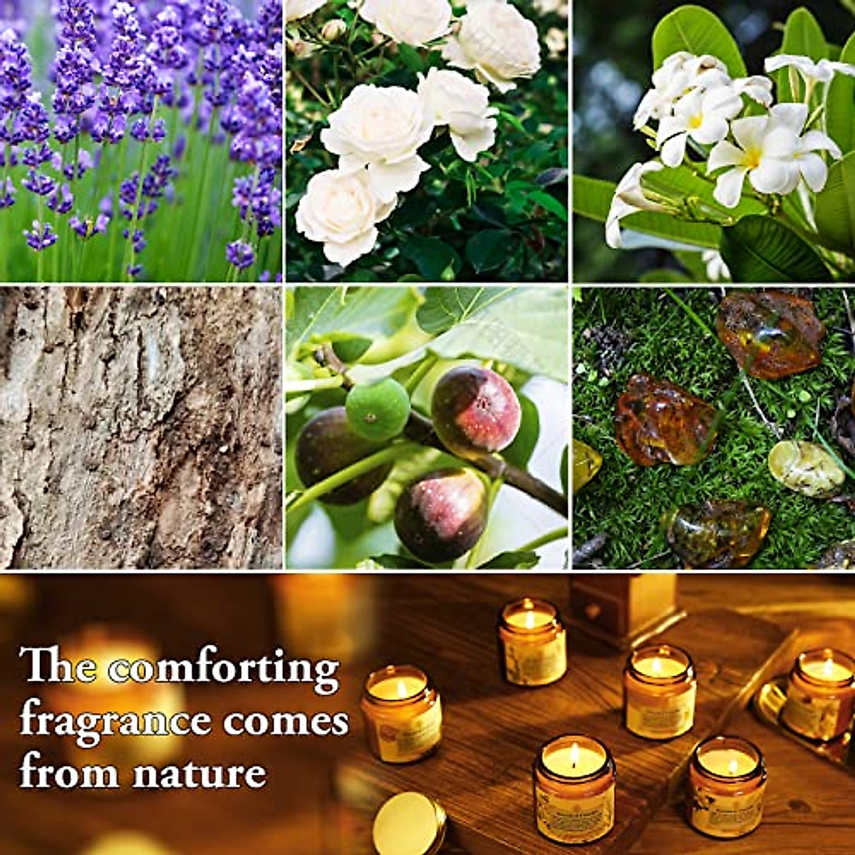 Scented Candles Gift Set for Women, Aromatherapy Candles Sets Smoke-Free Strong Fragrance Long Lasting, 6 Fragrance 180hrs Burning Time, Great Gift for Valentine's Day, Mother's Day and Christmas