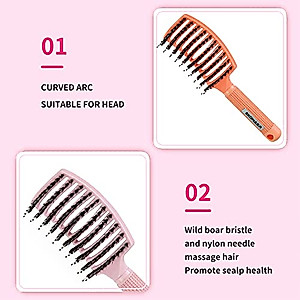 EKONAER 3 Pack Vented Quick Drying Massage Blow Detangler Brush,Boar Bristle Hair Brush Set-Curved,Detangling Hair Brush for Women Long,Thick, Thin, Curly(Green)