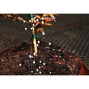 Bonsai Fertilizer Pellets by Perfect Plants - 5 Year Supply - All Natural Slow Release - Extended Enrichment for All Live Bonsai Tree Types