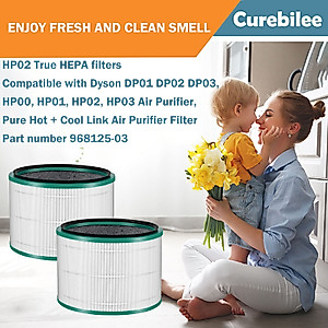 HP02 HEPA Filter Replacement Compatible with Dyson DP01 DP02 DP03, HP00, HP01, HP02, HP03 Air Purifier, Pure Hot + Cool Link Air Purifier Filter, Part # 968125-03 2-Pack