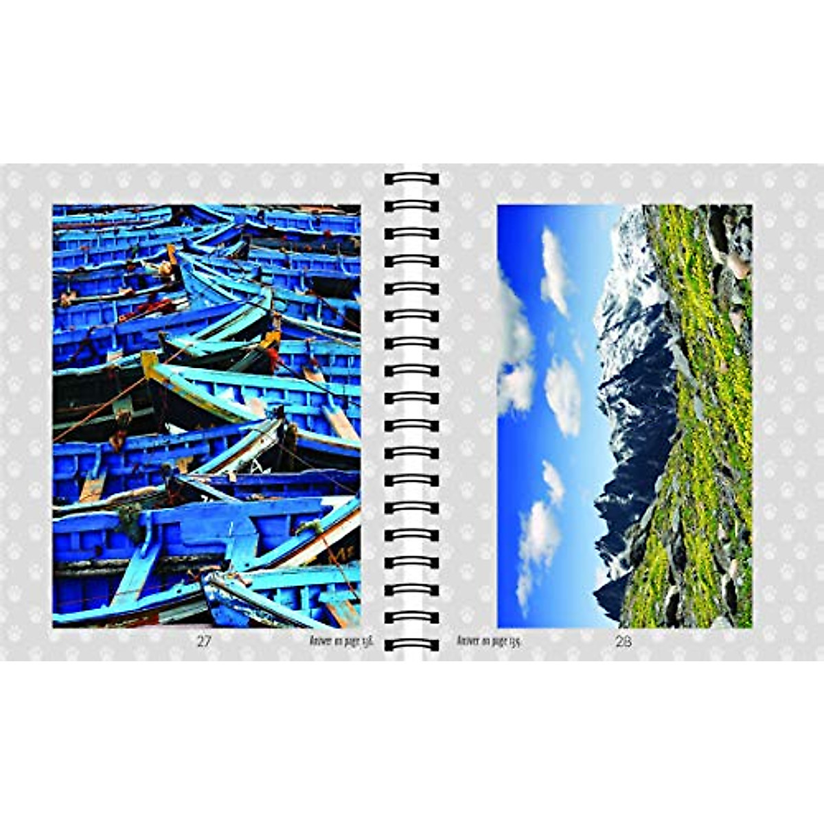 Brain Games - Find the Cat: Track Down Cute Cats and Adorable Kittens in 129 Pictures (Volume 1) (Brain Games - Picture Puzzles)