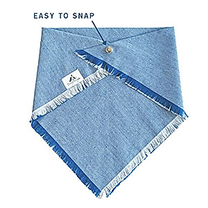 Everything Tailed Blue Big Brother Dog Bandana for Pregnancy Announcement, Pet Photo Prop, Handkerchief and/or Scarf for Dog, Fits Medium to Large Dogs