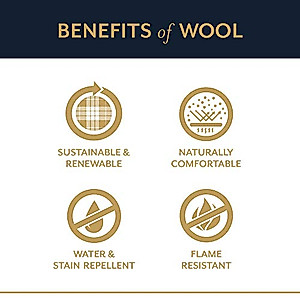 Pendleton, Motor Robe with Carrier, Vintage Dress Stewart