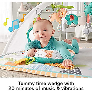 Fisher-Price Safari Music & Lights Gym Tummy Time Playmat with Take-Along Toys for Newborns from Birth and Older