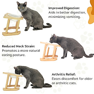 Rênasci® Elevated Ceramic Cat Food Dish Bowl, Adjustable Height, Raised Eco-Bamboo Wood Rack, Sturdy Pet Feeder, Tilted Angle