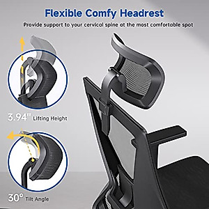 Dripex Ergonomic Office Chair, High Back Desk Chair, Computer Mesh Chair with Lumbar Support, Adjustable Headrest & 2D Armrest, 90°-135°Tilt Function, 360° Swivel Home Office Task Chair, Black