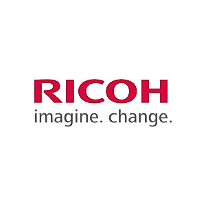 Ricoh 841337 Black Toner Cartridge Type 2120D 2-Pack