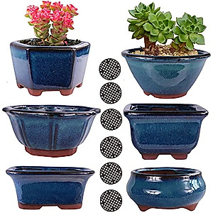 MUZHI 6PACK Glazed Bonsai Pot Planter 3" 4” Small Succulent Pots, Yixing Zisha Decorative Mame Bonsai Training Pot or Small Flower Cactus Starter Growing Planters Containers Blue
