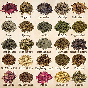 Witchcraft Supplies and Herbs for Spells 25 Premium Fine Dried Botanicals (Large Size) and 3 Crystal Stones for Wicca and Pagan Rituals, Alter Supplies, Magic Spells Green Witchtok by Fidelis