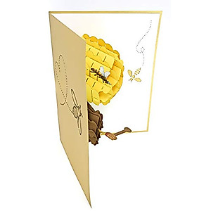 PopLife Beehive and Honeypot Pop Up Card for your HONEY! - Mothers Day Pop Up, Anniversary Card, Happy Birthday, Just Because, Gift for Her - Husband for Wife, for Daughter, for Son, for Grandkids