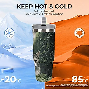 STVNKML 30 Oz Tumbler with Handle And Straw, Cat on The Ground Leakproof Stainless Steel Water Bottle for Hot & Cold Drinks 24 Hours, Car Cup Holder Friendly, Travel Mug for Home, Office, Gym