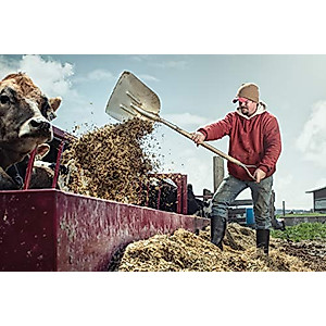 Dunlop Protective Footwear, Chesapeake plain toe Black Amazon, 100% Waterproof PVC, Lightweight and Durable, 8677577.11, Size 11 US