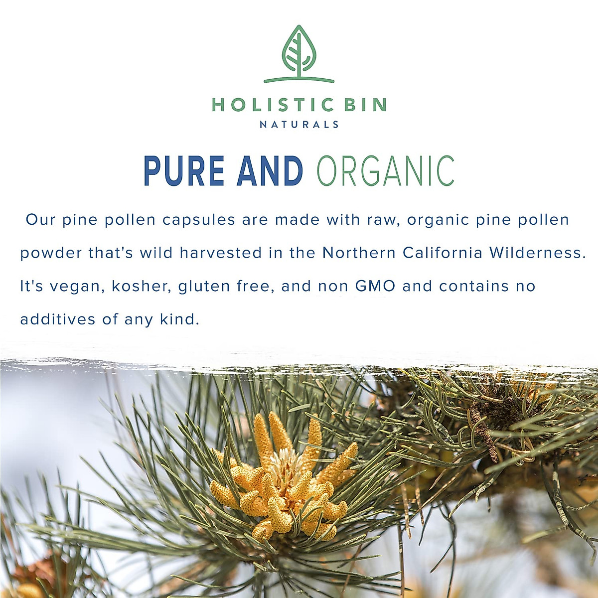 Holistic Bin Pine Pollen Capsules 500mg Made w/ 100% Pure Pharmaceutical Grade, Wild Harvested California Pine Pollen Powder | Organic, Non GMO, No Fillers | 30 Day Supply (40 Capsules)