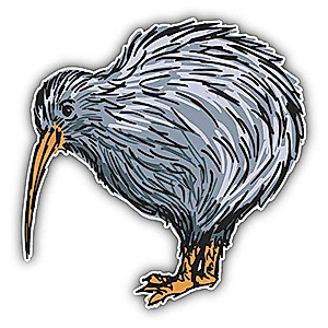 DG Graphics Kiwi Bird Sketch Art Decor 5'' x 5'' Magnet Vinyl Magnetic Sheet for Lockers, Cars, Signs, Refrigerator