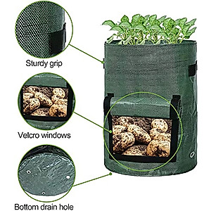 Potato Grow Bags,Potato Planters with Flap and Handles,Vegetables Garden Planting Bags for Onion,Fruits,Tomato,Carrot (10gallon-4pack)