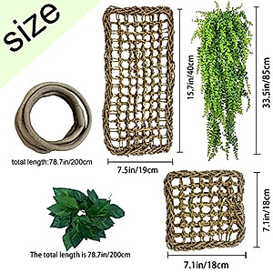 MUYG Bearded Dragon Tank Hammock,Natural Seagrass Reptile Lounger Hammocks Decor Flexible Leaves Jungle Climber Vines Habitat Accessories for Lizard Chameleon Gecko Snakes(5 PCS)