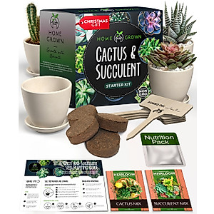 Succulent & Cactus Seed Kit for Planting – [Enthusiasts Favorites] Premium Cactus & Succulent Starter Kit: 4 Planters, Drip Trays, Markers, Seeds Mix, Soil - DIY Gift Kits (Original Edition)