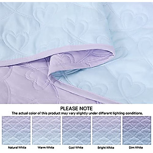 DREAMCLOUD HOME Quilt Set Full Queen Size 3 Piece, Bailey Pattern Printed Bedding Coverlet Set, Lightweight Soft Reversible Bedspread Sets for All Season (1 Quilt & 2 Pillow Shams)