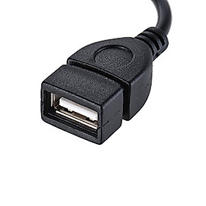 Warmstor 3.5mm (1/8 inch) AUX Audio Plug Male to USB 2.0 Female OTG Adapter Converter Cable for Playing Music with U-Disk in Your Car