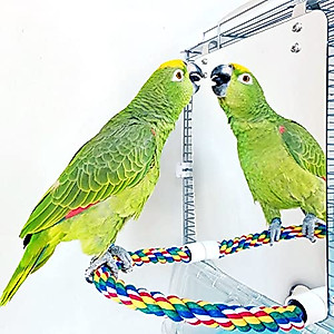 YITAQI Conure Cockatiel Cage Accessories with Rope Acrylic Brid Mirror Perch Stand Swing Parrot Toys(L)
