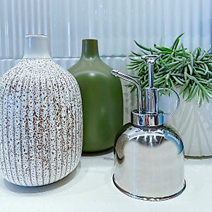 LOOPSEED Plant Mister Spray Bottle Stainless Steel Watering Can for Indoor Plants Succulent Bonsai Garden Houseplant Spritzer Modern Garden Tools 10oz/300ml (Silver)