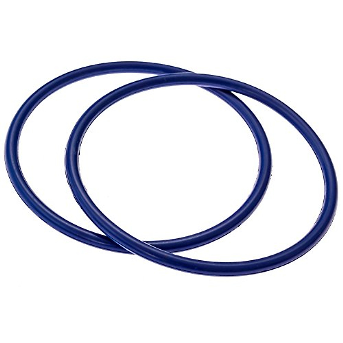 Pool Ruler R172009 Chlorine Resistant VITON O-Ring 2 Pack + Lubricant for Pentair Rainbow Chlorinator 300 & 320 Lid