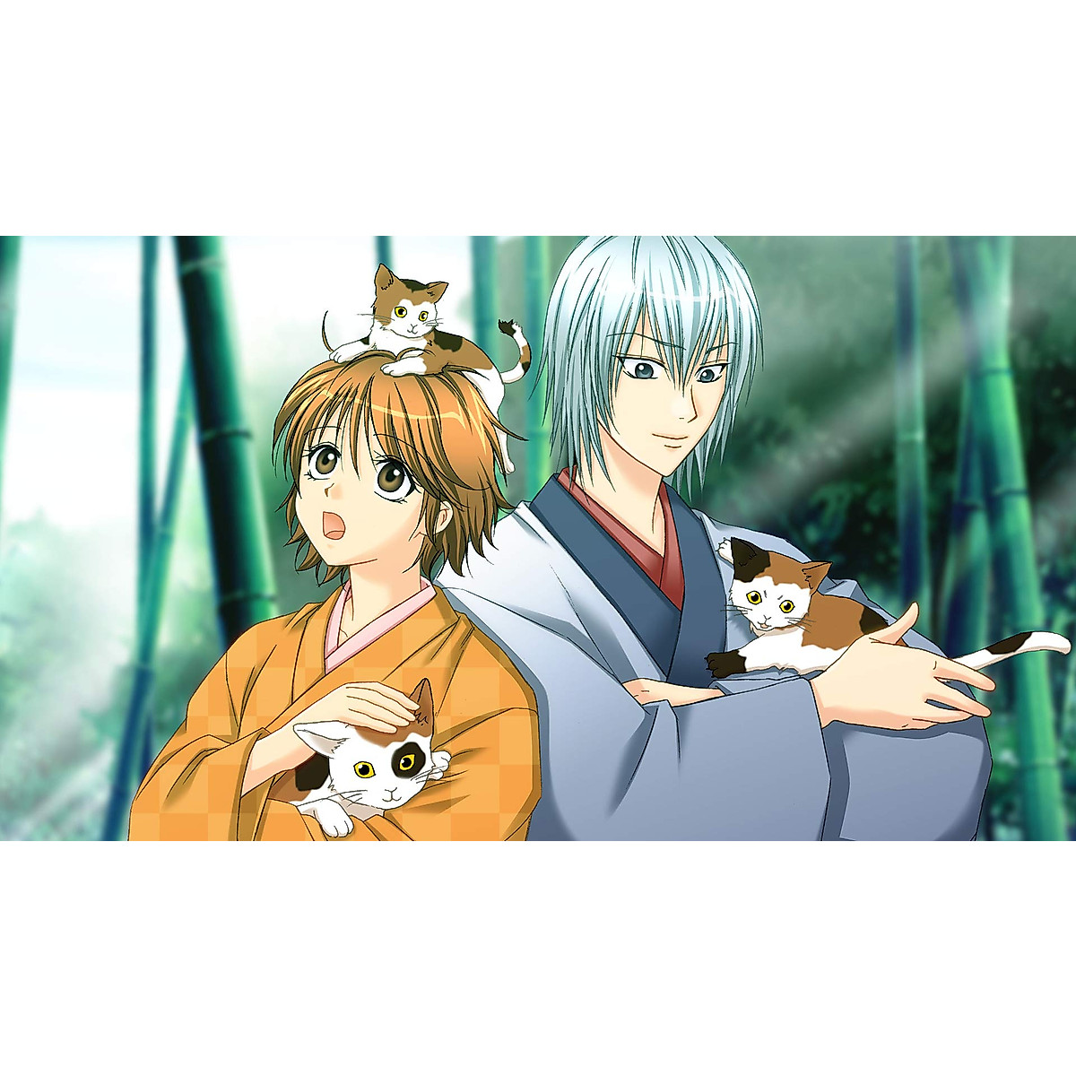 Bakumatsu Renka Shinsengumi: Jinchuu Houkoku no Shi (English)