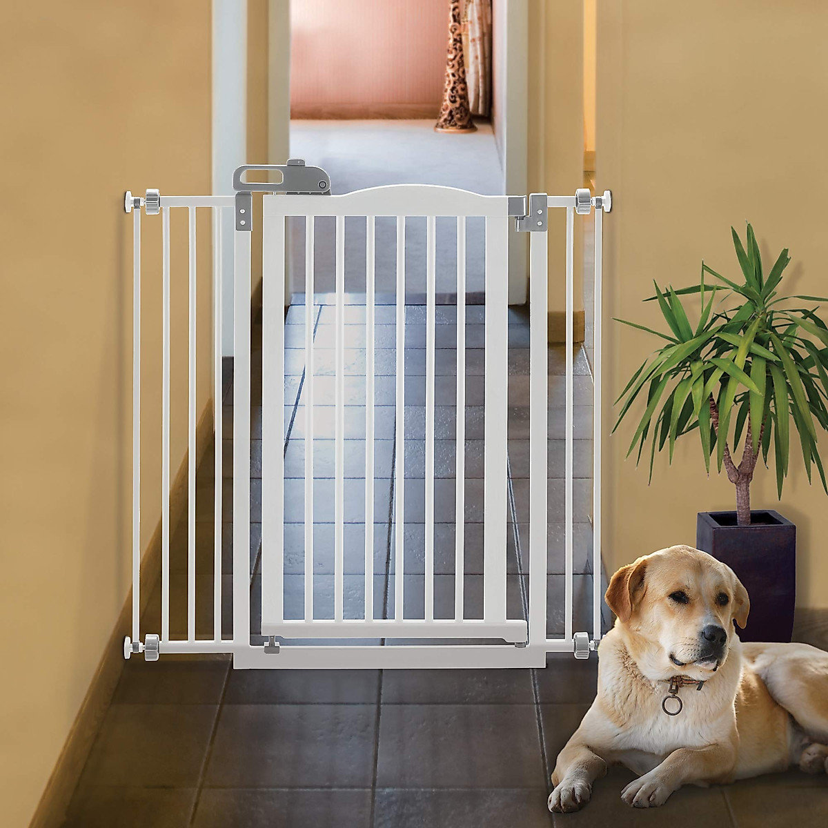 Richell 94931 Pet Kennels and Gates, White