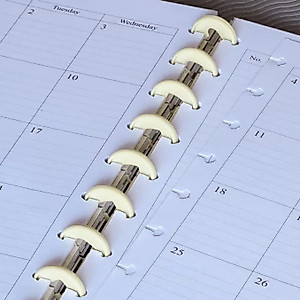 2024 Daily & Monthly Planner Refills for 8-Discbound Junior Size Planners - Appointment Schedule & To Do List, Monthly Tabs, 8-Disc Punched, Jan 2024 - Dec 2024