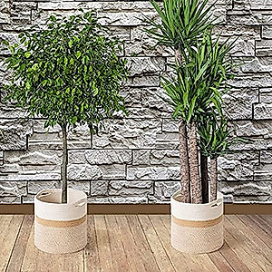 UXZDX Hand-Woven Flower Pot Basket Laundry Room Storage Box Storage Container Flower Pot Storage Basket (Size : 25cm)