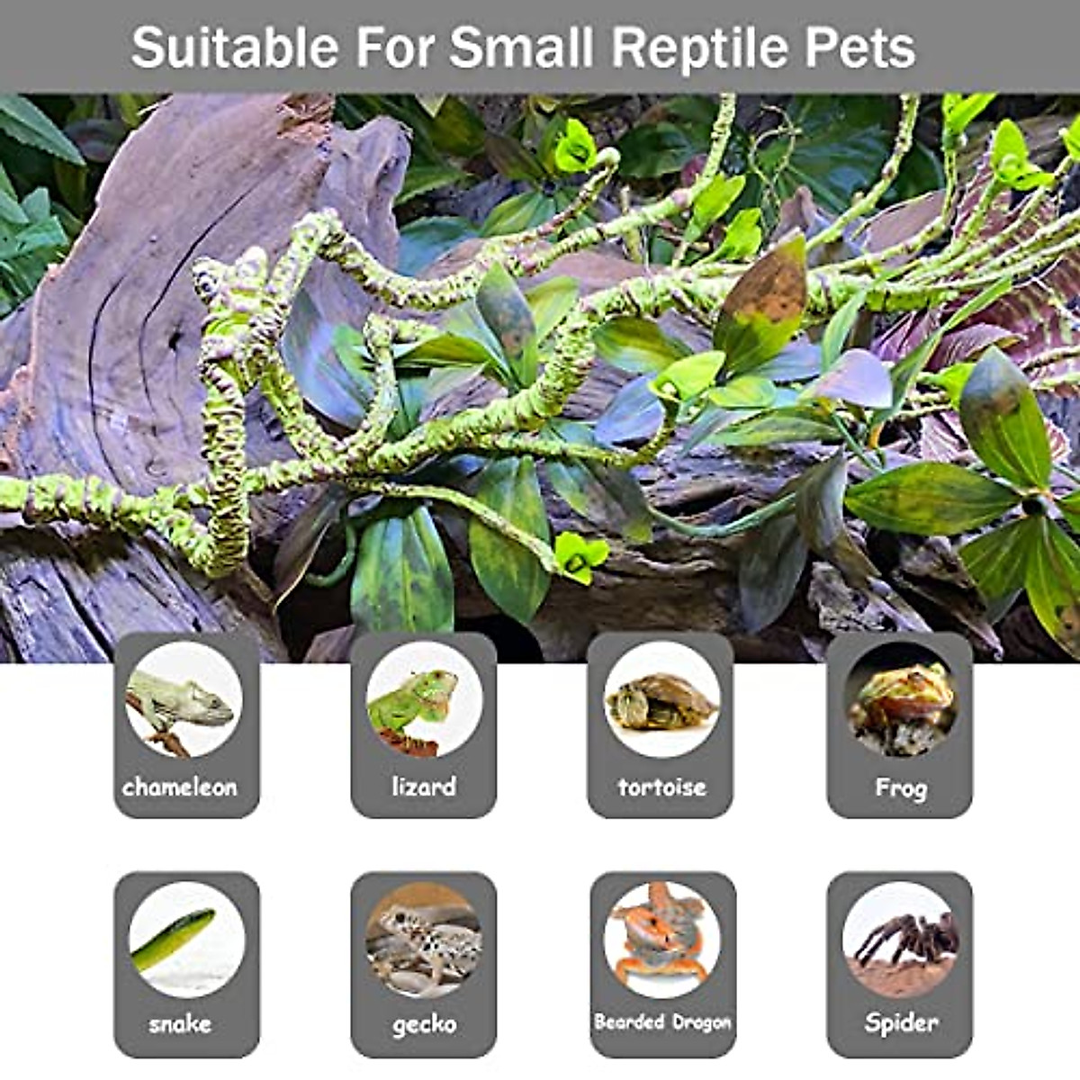 Hamiledyi Bearded Dragon Tank Accessories Reptile Dinosaur Skull Hideout Decor Reptile Climber Jungle Vines Artificial Leaves for Iguana Lizard Chameleon Snake Frog Gecko Frogs(3 PCS)
