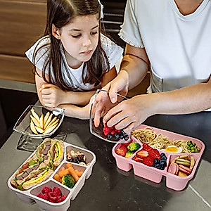 4 Pack Meal Prep Lunch Containers with 4 Compartments, Durable Bento Lunch Box, BPA Free, Wheat Straw Meal Prep Containers Reusable, Divided Food Storage Containers for Work