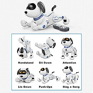Hitish Remote Control Robot Dog, Intelligent Interactive Programmable Dancing Handstand Robo Stunt Doggy Toy, Voice Control Robotic Puppy Pet Toys with Light for Kids 3 4 5 6 Years Old and Up