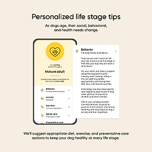 Embark Dog Age Test Kit - Estimates Age and Birthday - DNA Methylation - Best for Dogs Past Puppy Stage - Includes Life Stage Care Tips - Great for Rescue Dogs